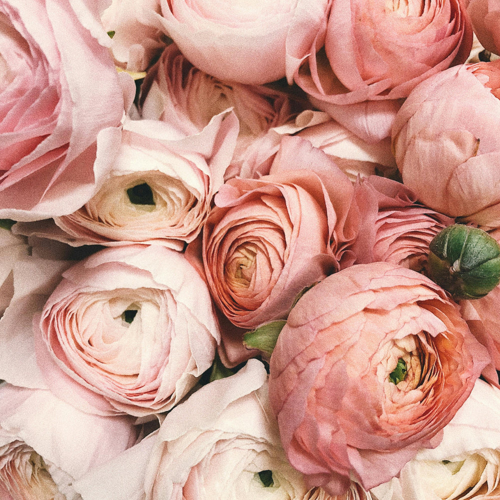Floral Perfume - Romantic & Sophisticated Scents | KAYALI – KAYALI US